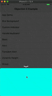 HWPanModal 👍 | HWPanModal